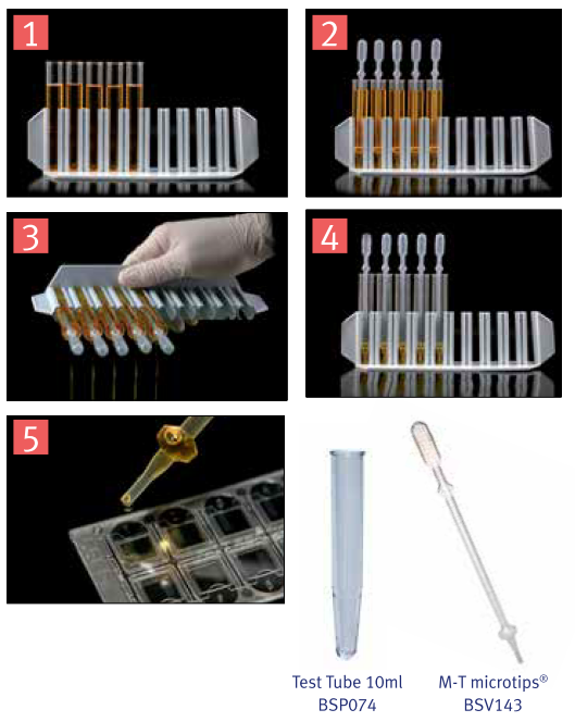 Fast-read® kits - Biosigma: Biotechnology and Clinical