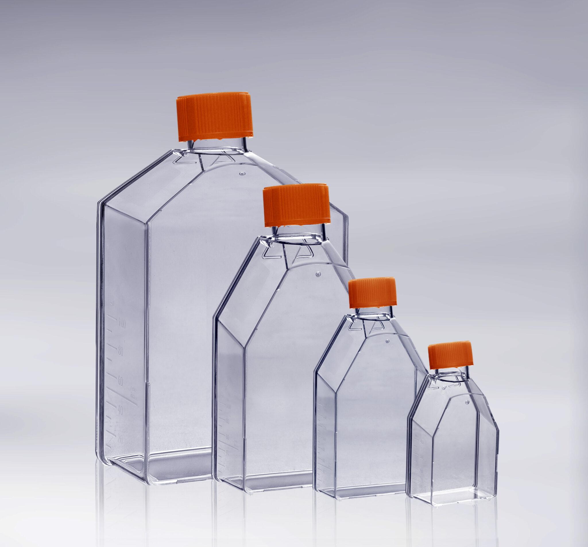 Cell Culture Flasks TC TREATED CLEARLine® - Biosigma: Biotechnology and ...