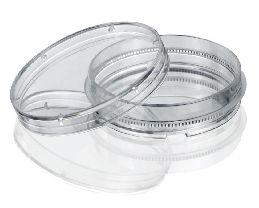 Cell Culture Dishes CLEARLine® - Biosigma: Biotechnology and Clinical