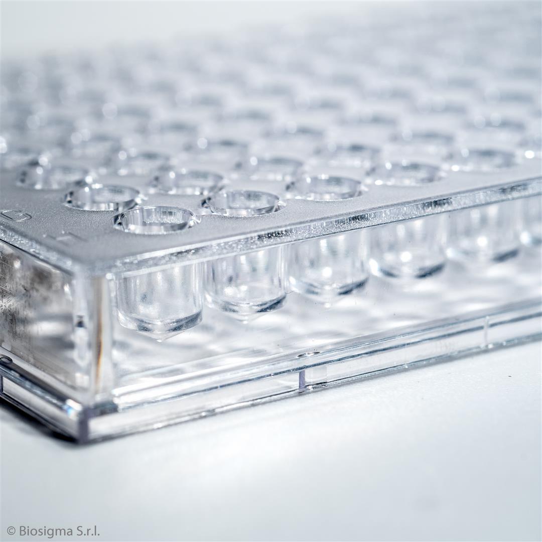 96-well microtiter plates in polystyrene - Biosigma: Biotechnology and ...