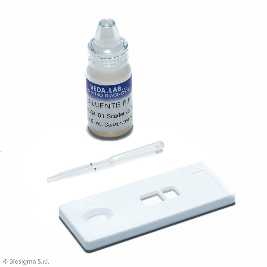 Infectious disease - Biosigma: Biotechnology and Clinical