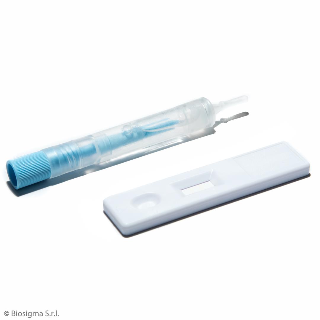 Infectious disease - Biosigma: Biotechnology and Clinical