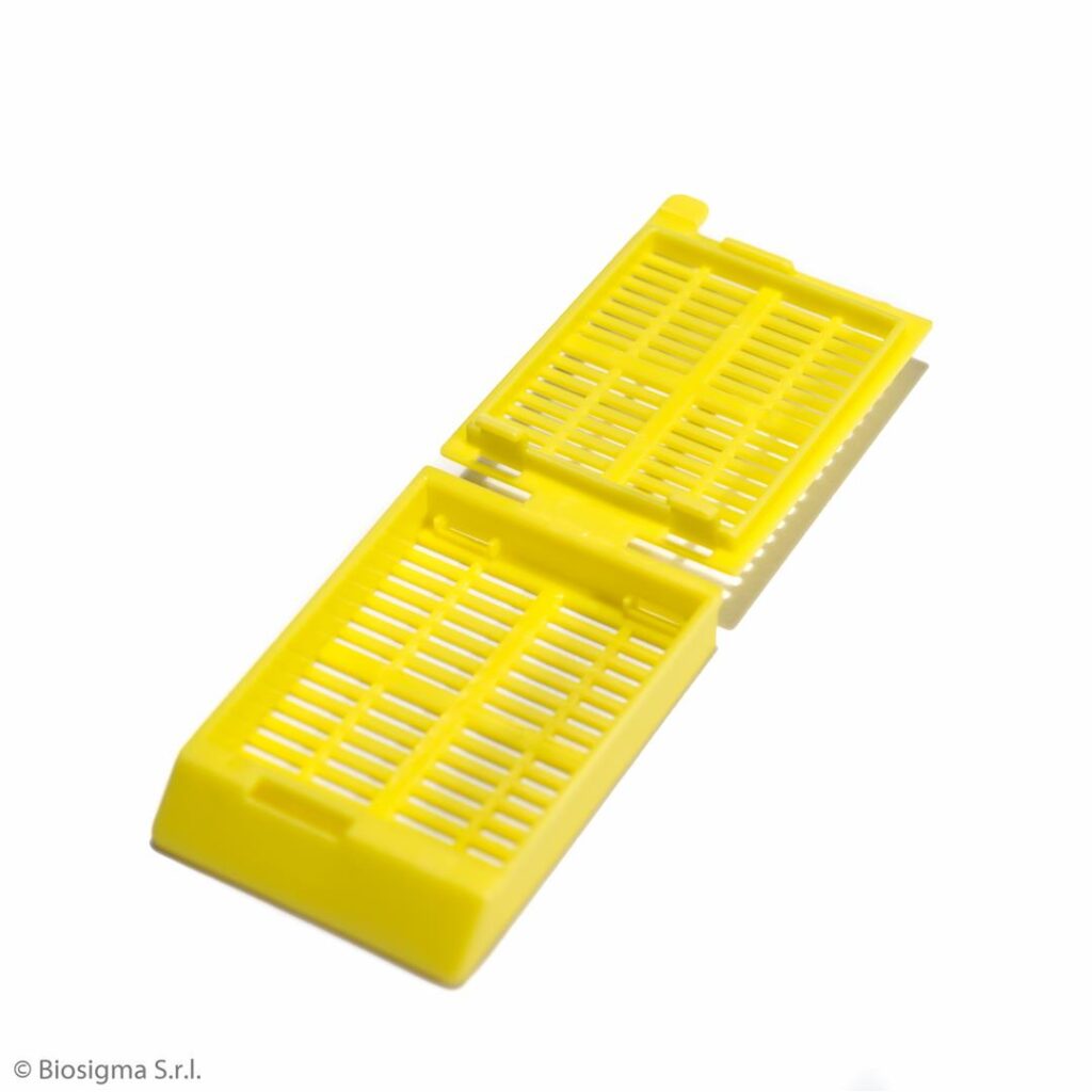 Histology cassettes - Biosigma: Biotechnology and Clinical