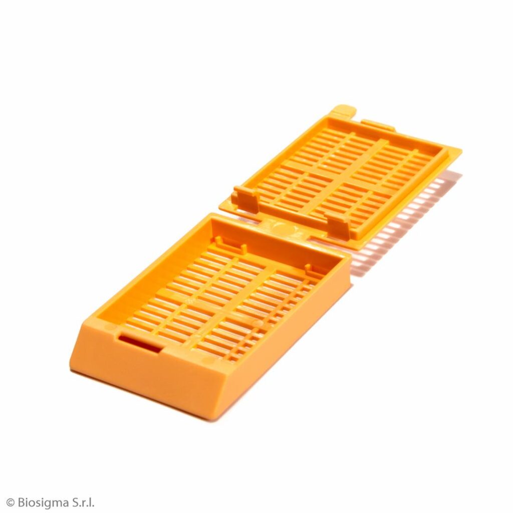 Histology cassettes - Biosigma: Biotechnology and Clinical