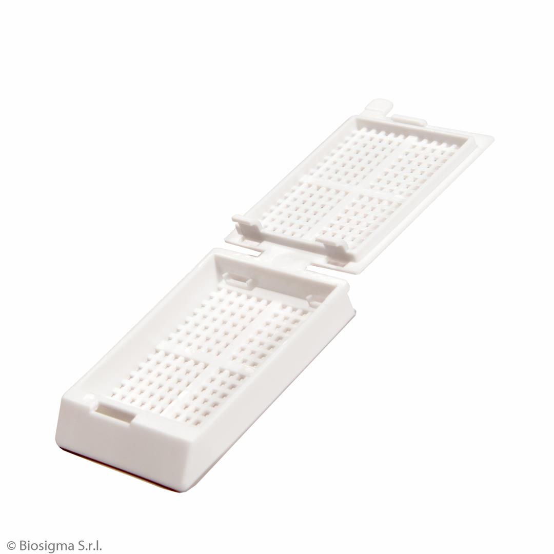 Biopsy cassettes - Biosigma: Biotechnology and Clinical