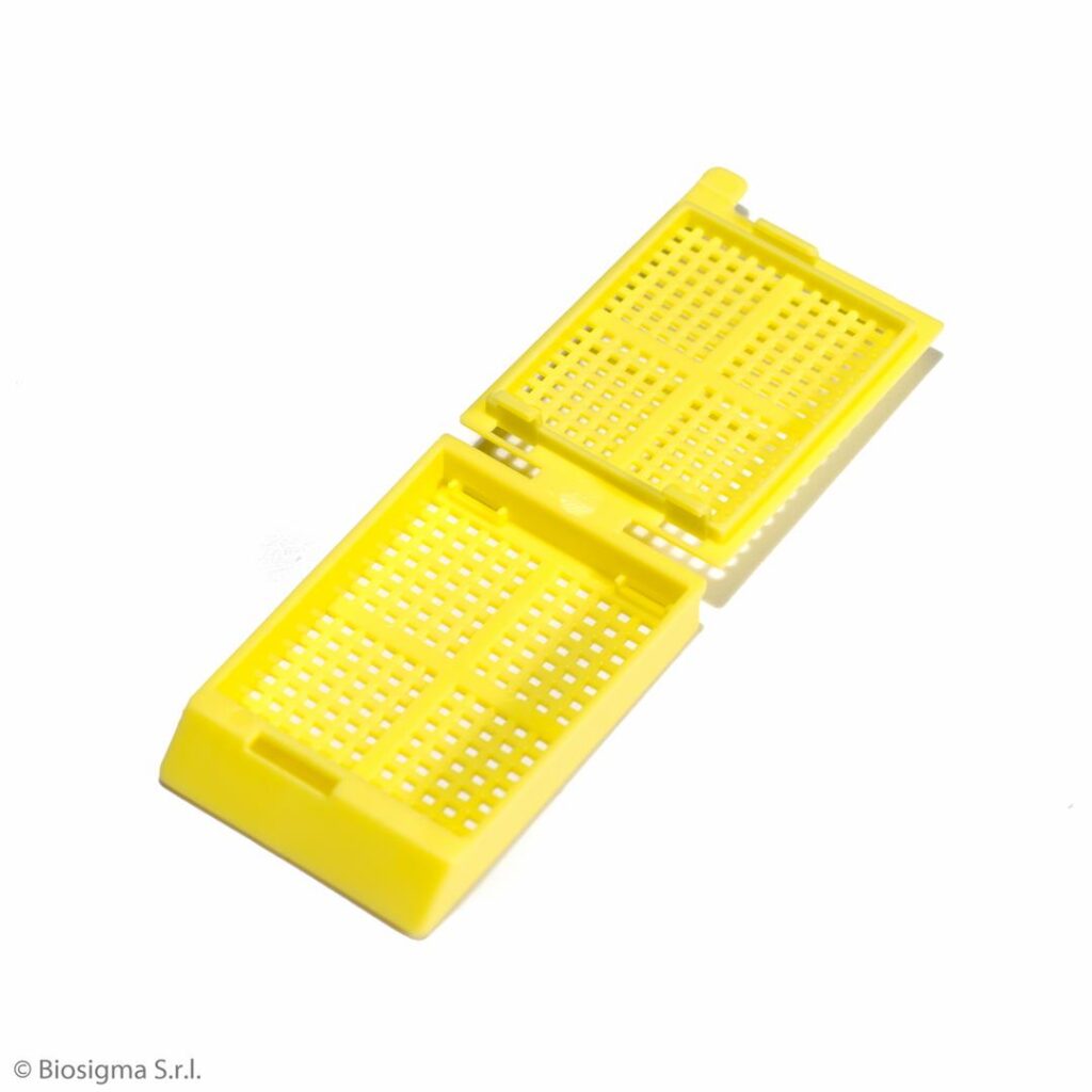 Biopsy cassettes - Biosigma: Biotechnology and Clinical