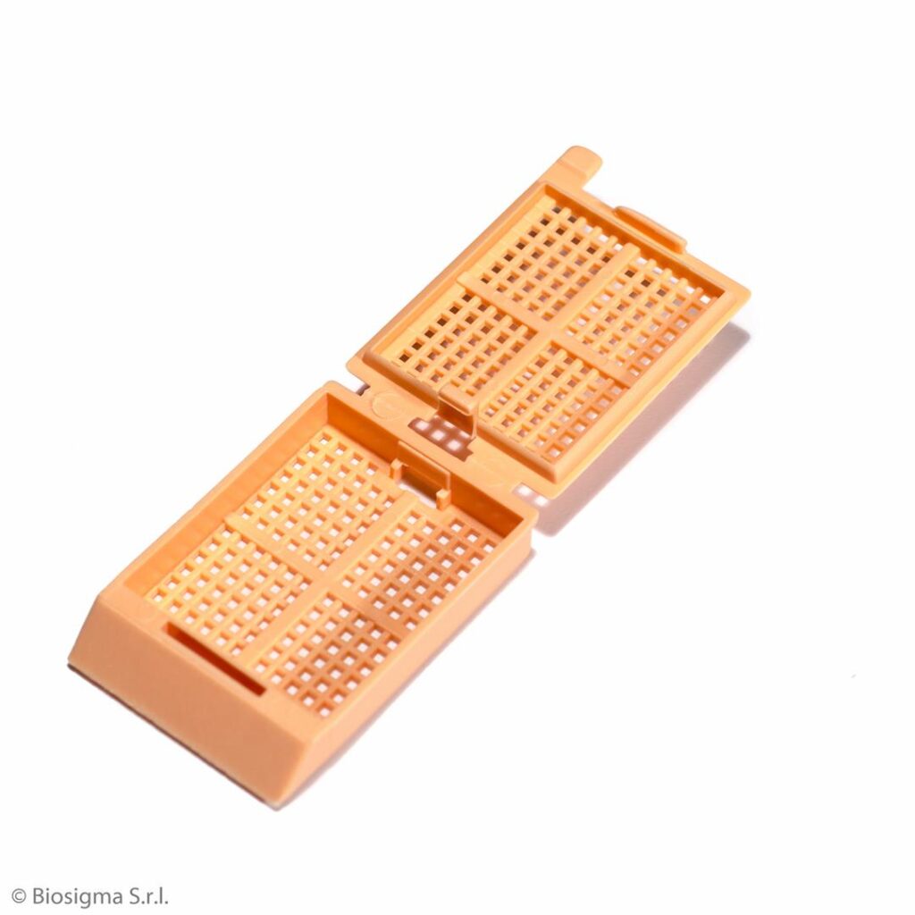 Biopsy cassettes - Biosigma: Biotechnology and Clinical