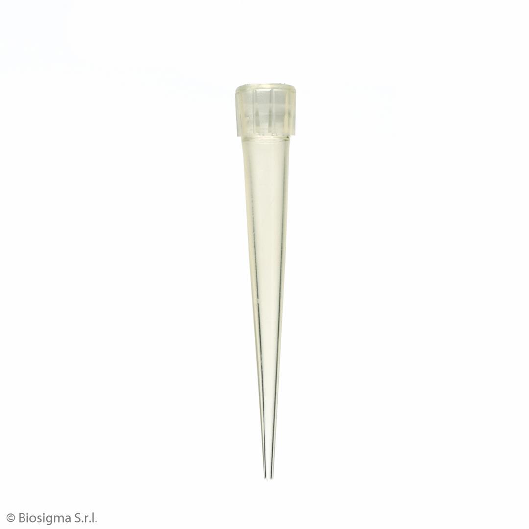 Standard tips - Biosigma: Biotechnology and Clinical