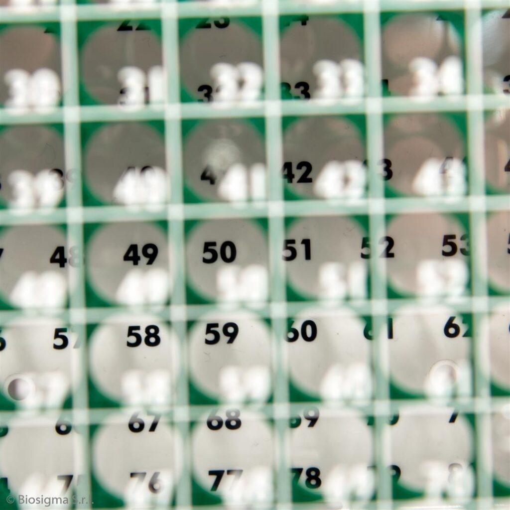 Polycarbonate Cryoboxes 1D - CLEARLine® Accessories - Biosigma ...