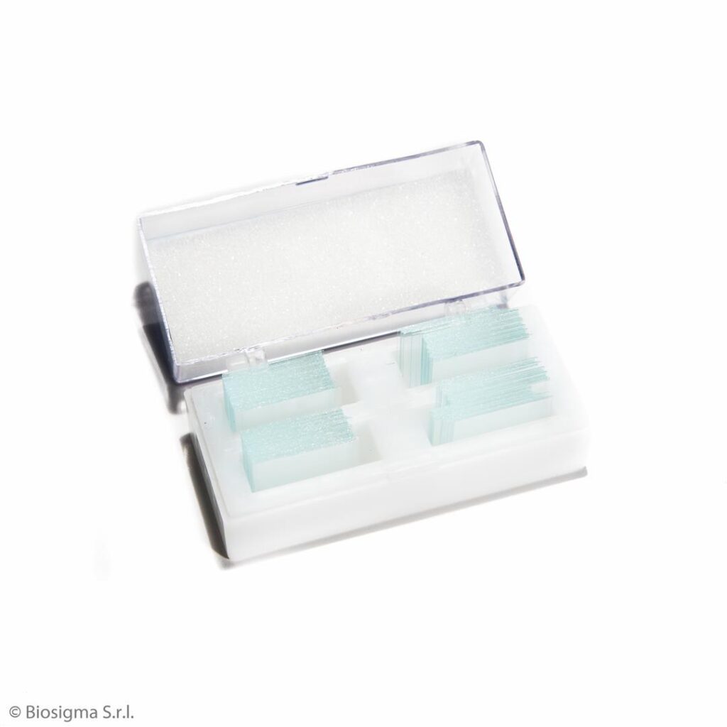 Coverslips - Biosigma: Biotechnology and Clinical