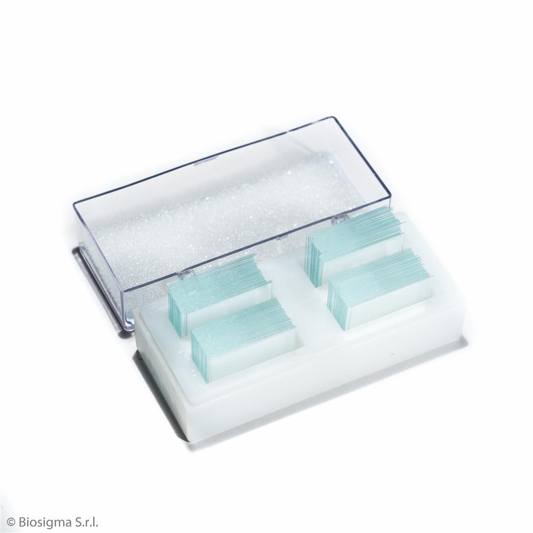 Coverslips - Biosigma: Biotechnology and Clinical