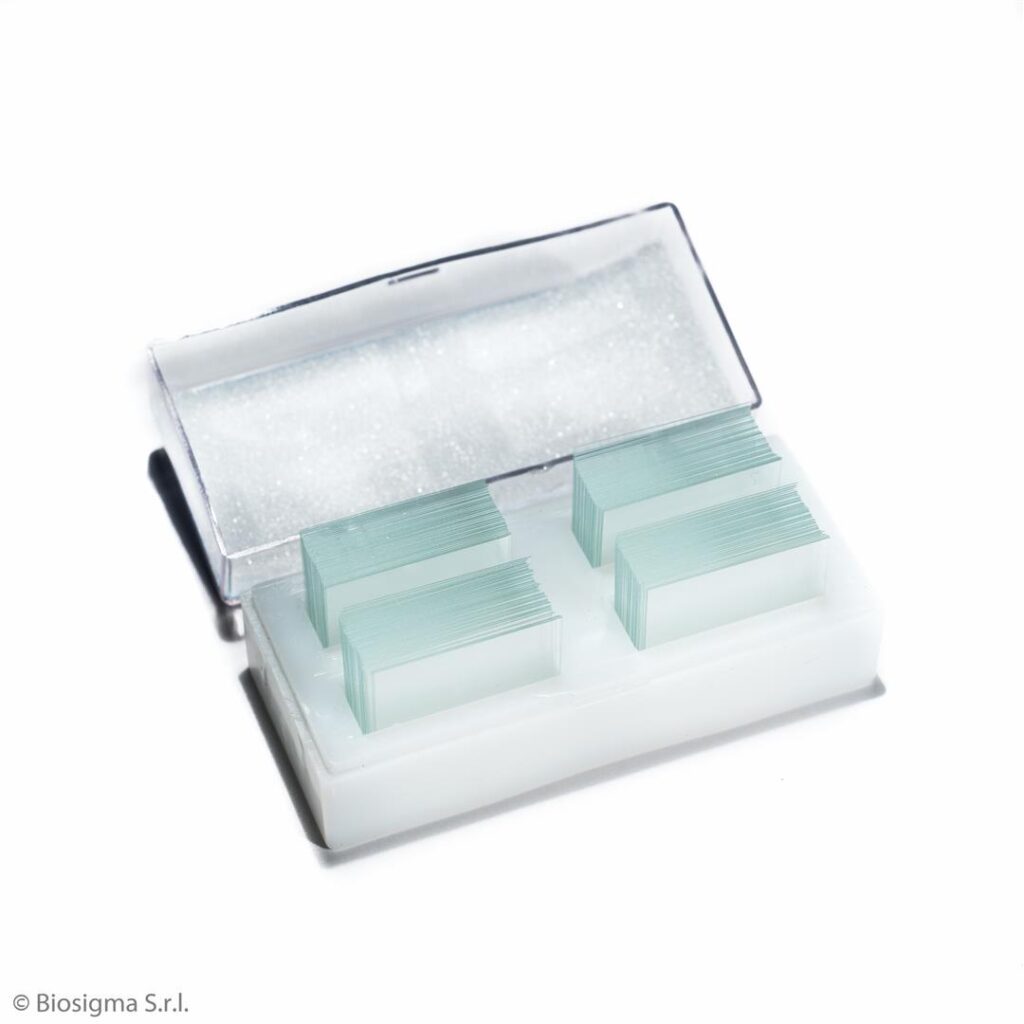 Coverslips - Biosigma: Biotechnology and Clinical