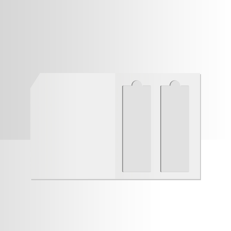 Cardboard Slide Holder - Biosigma: Biotechnology and Clinical